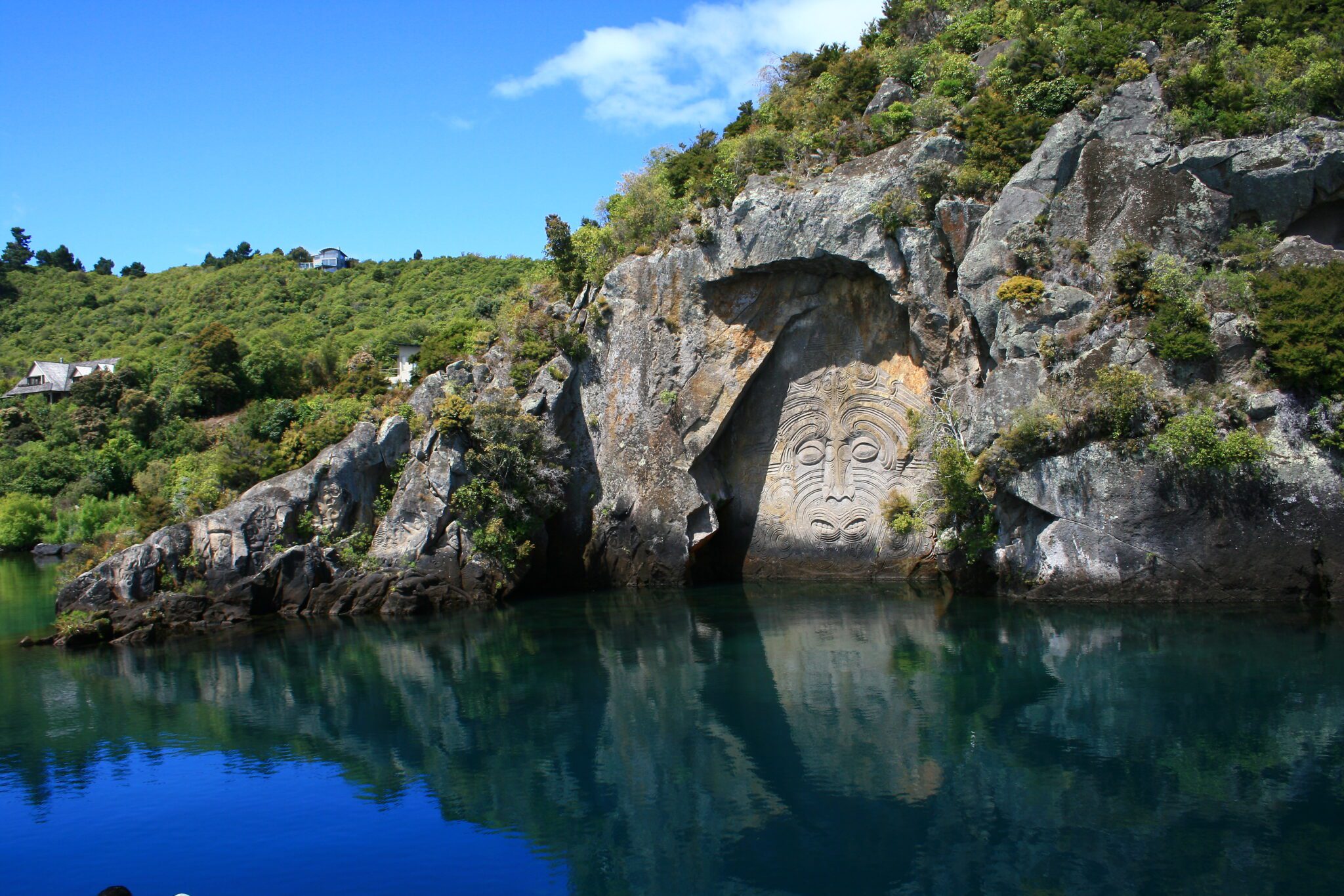 Māori Rock Carvings Cruises from $59 | Chris Jolly Outdoors